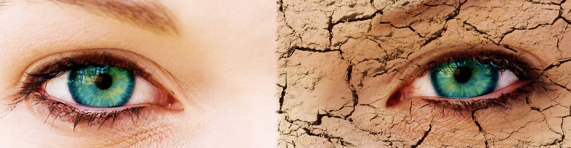 Dry Eye Treatment at Stamper Optometry | San Francisco Optometrists